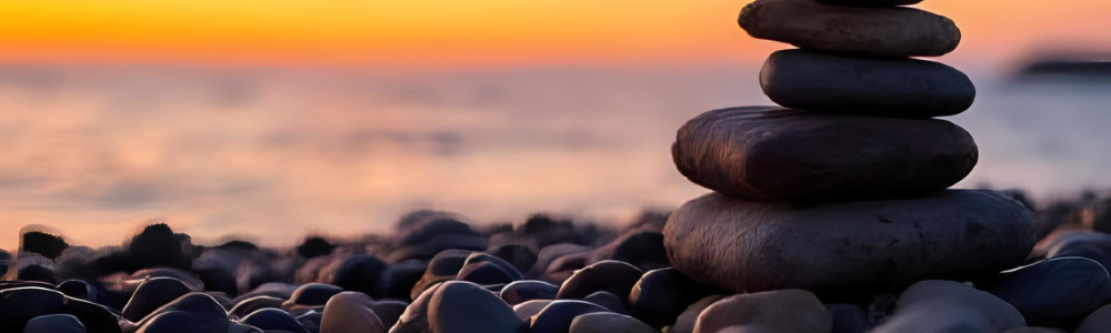 The Pebble in Your Shoe: Understanding Grief and Loss • Megan Goldner ...